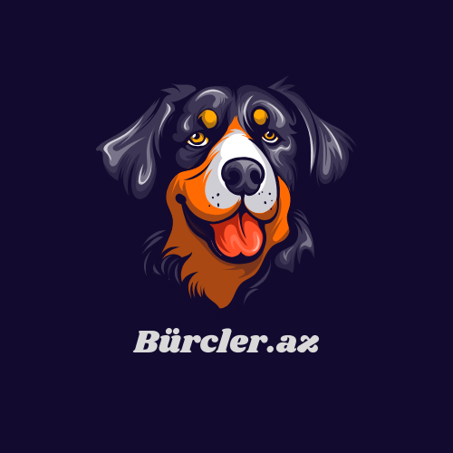 İt İli Haqqında Hər Şey Bürcler.az-da! 🐕
