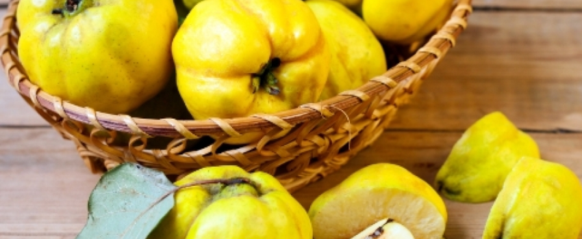 Yuxuda Heyva Hörmək - Yuxuda Heyva Gormek